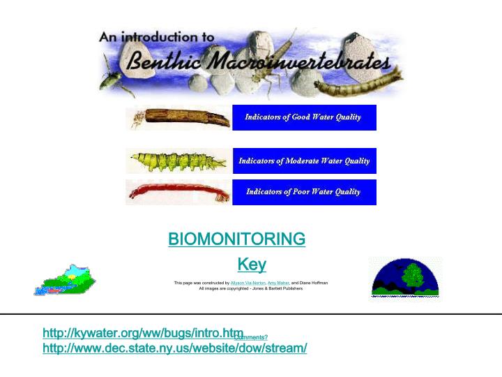 PPT - The Index of Biotic Integrity (the BI or IBI) PowerPoint ...