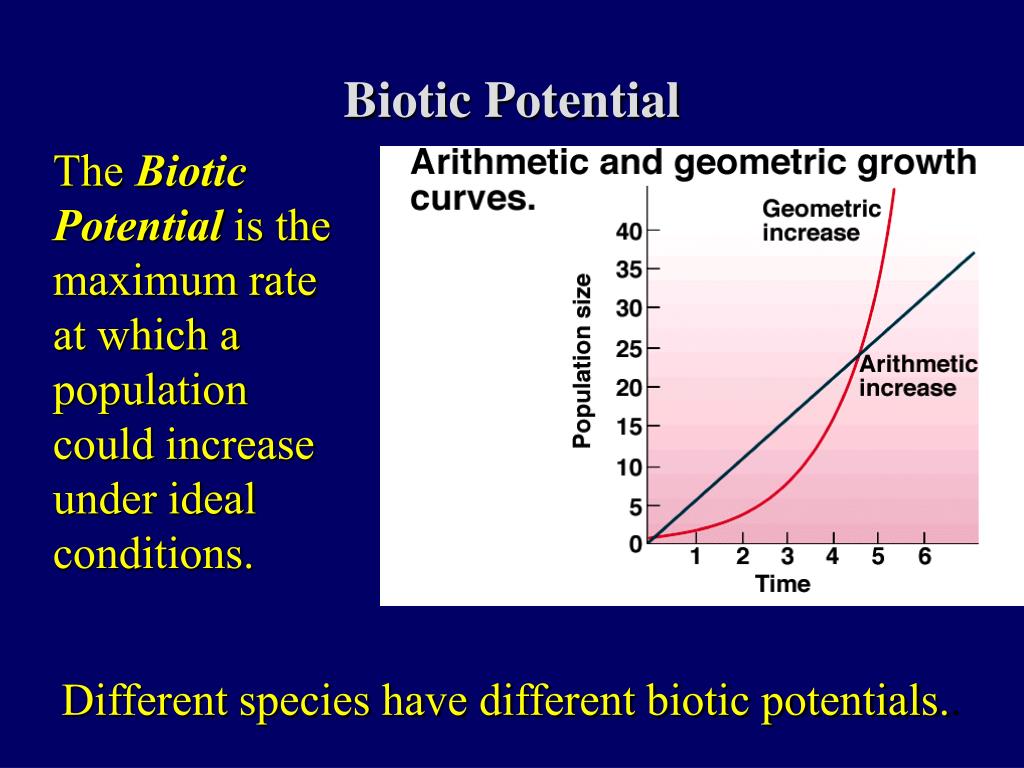 PPT Populations PowerPoint Presentation Free Download ID 217417 PPT Populations PowerPoint Presentation Free Download ID 217417