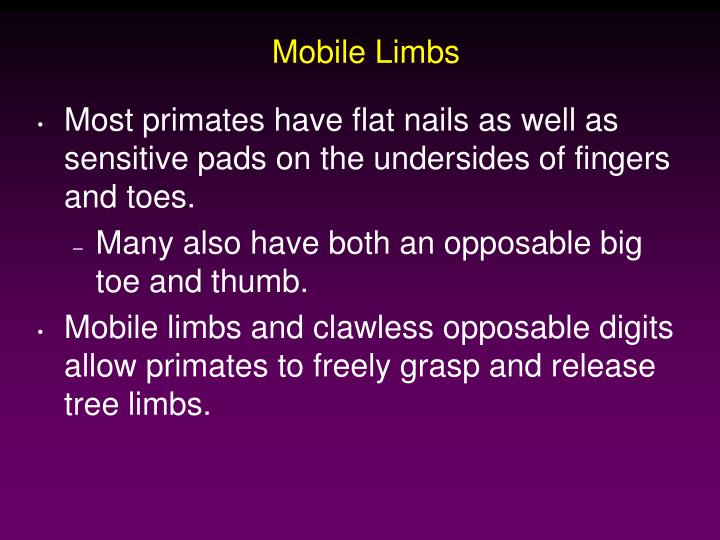 PPT - Anatomy & Physiology Unit 6: Human Evolution PowerPoint ...