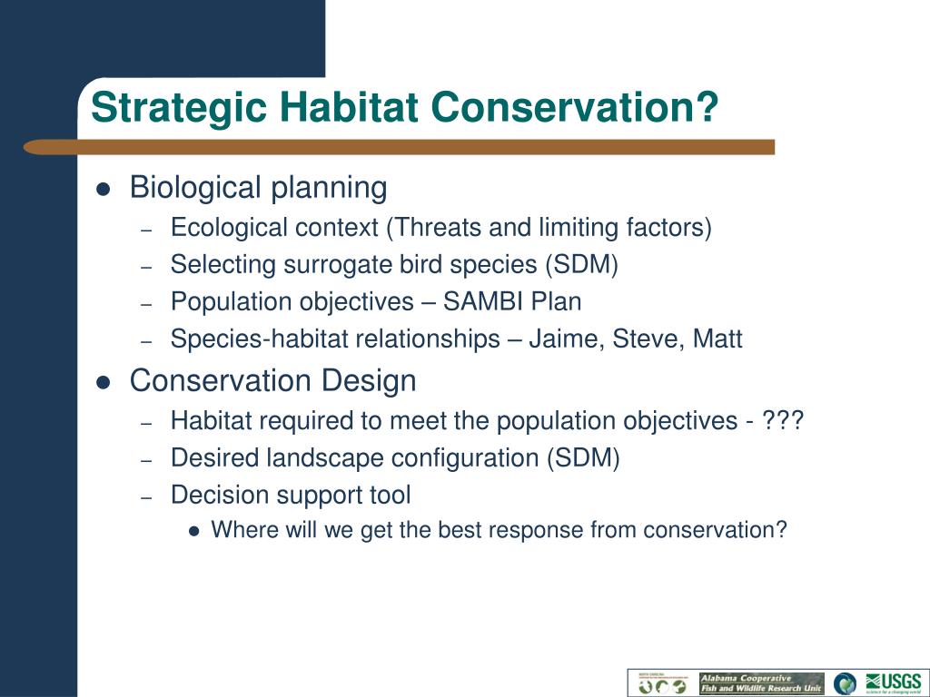 PPT - Designing Landscapes for Sustainable Bird Populations PowerPoint ...