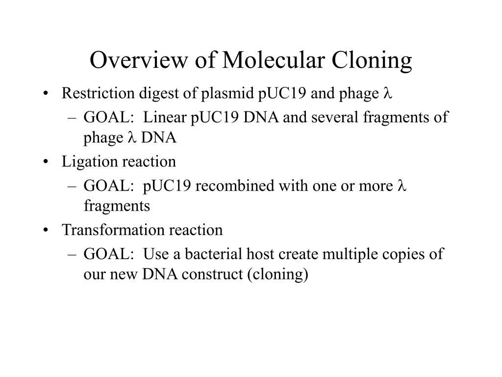 PPT - Molecular Cloning PowerPoint Presentation, free download - ID:218805 PPT - Molecular Cloning PowerPoint Presentation, free download - ID:218805