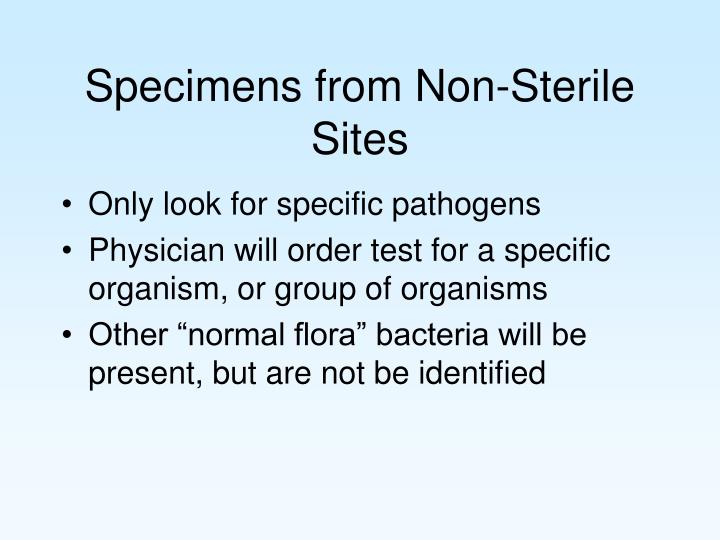 PPT - Diagnostic Testing in the Microbiology Laboratory PowerPoint ...