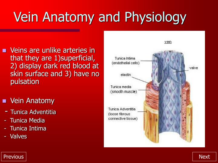 PPT - Basic Intravenous Therapy PowerPoint Presentation - ID:219119