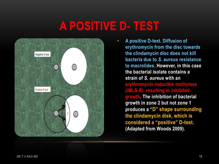 PPT - Clindamycin Uses and Concerns PowerPoint Presentation - ID:219300