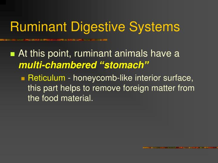 PPT - The Ruminant Digestive System PowerPoint Presentation - ID:221029
