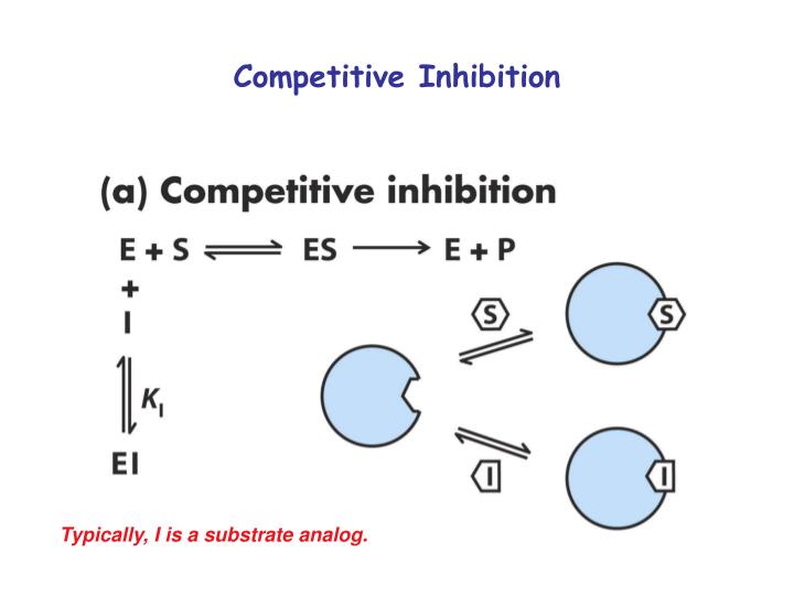 PPT - Biochemistry 412 Enzyme Kinetics II April 1 st , 2005 PowerPoint ...