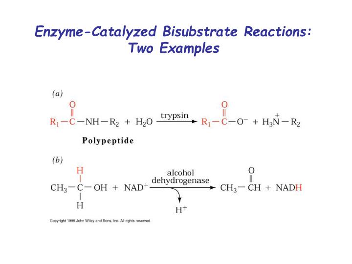 PPT - Biochemistry 412 Enzyme Kinetics II April 1 st , 2005 PowerPoint ...