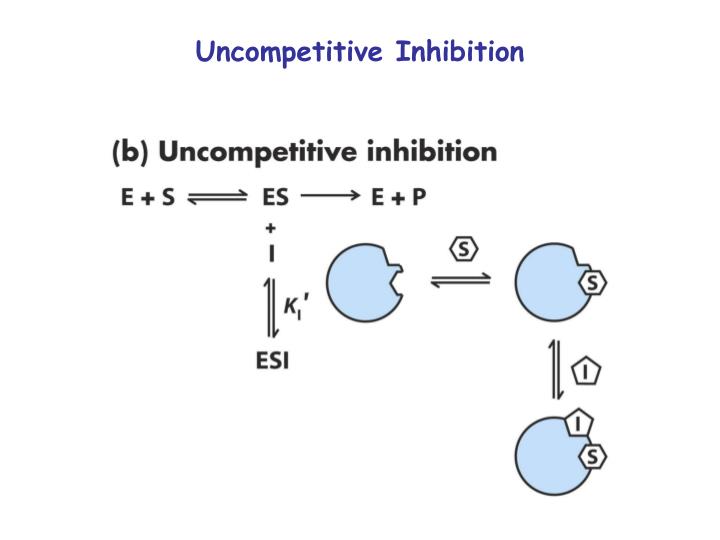PPT - Biochemistry 412 Enzyme Kinetics II April 1 st , 2005 PowerPoint ...