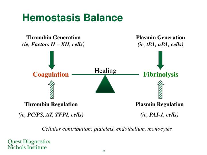 PPT - Introduction to Coagulation Testing PowerPoint Presentation - ID ...