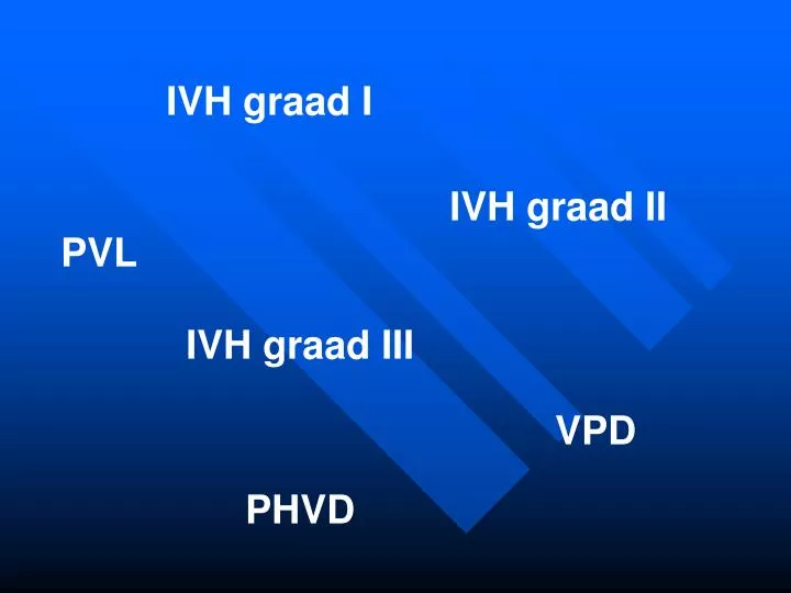 PPT - VPD PowerPoint Presentation, free download - ID:224112