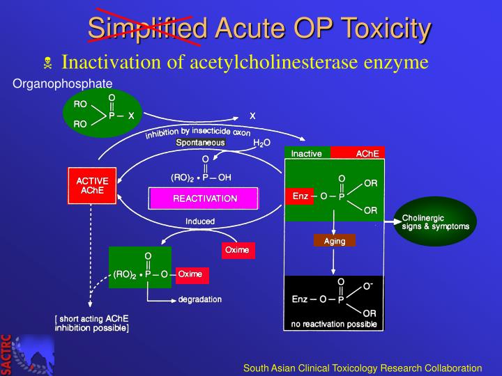 PPT - Organophosphate Pesticide Poisoning PowerPoint Presentation - ID ...
