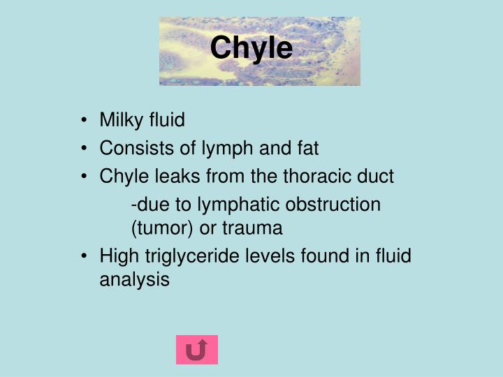 PPT - Pleural Effusions PowerPoint Presentation - ID:224571