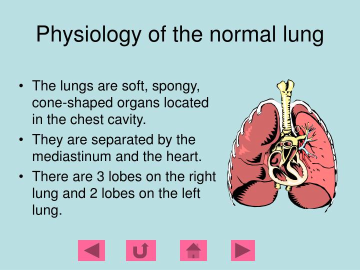 Ppt Pleural Effusions Powerpoint Presentation Id 224571