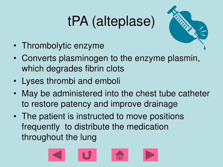 PPT - Pleural Effusions PowerPoint Presentation - ID:224571