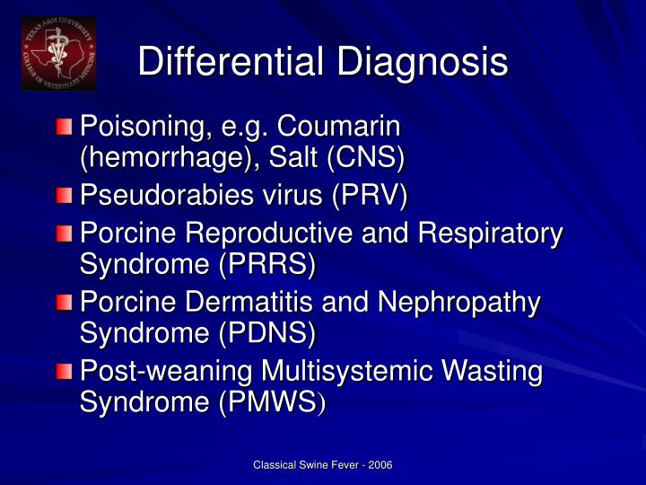PPT - Classical Swine Fever PowerPoint Presentation - ID:224847