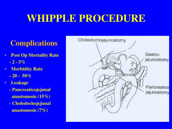 PPT - Edward L. Lee, M.D. Professor & Chairman Department of Pathology ...