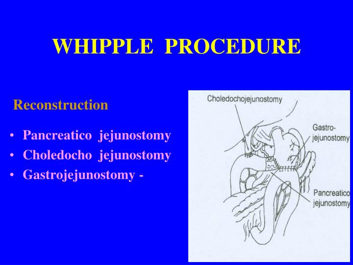 PPT - Edward L. Lee, M.D. Professor & Chairman Department of Pathology ...
