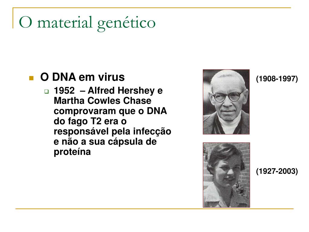 PPT - O DNA como material genético, replicação, transcrição e tradução ...