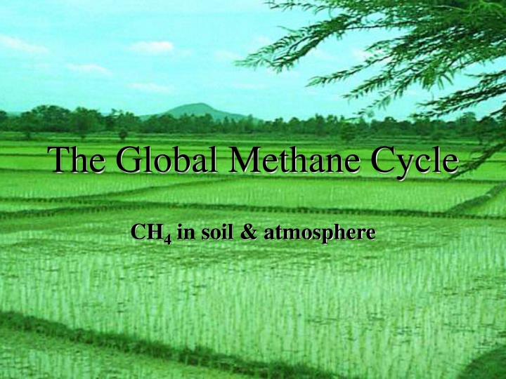 PPT - The Global Methane Cycle PowerPoint Presentation, free download ...