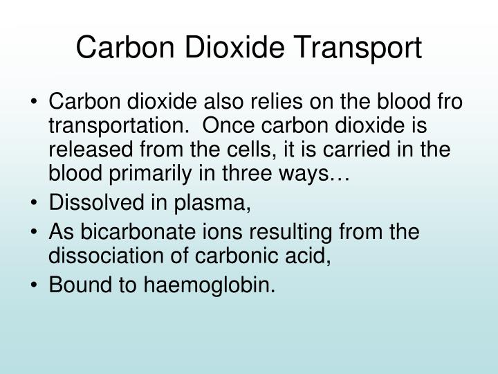 PPT - Transport of Oxygen and Carbon Dioxide PowerPoint Presentation ...