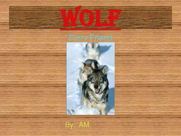 PPT - Wolf PowerPoint Presentation, free download - ID:227810