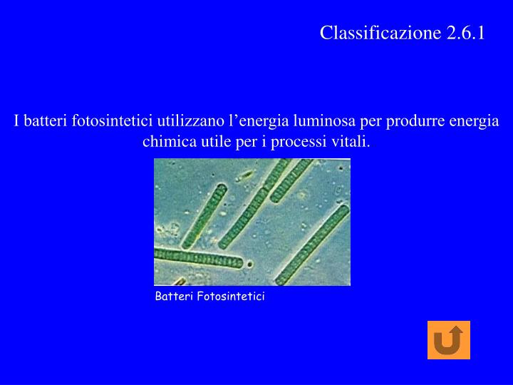 PPT - I BATTERI PowerPoint Presentation - ID:227839