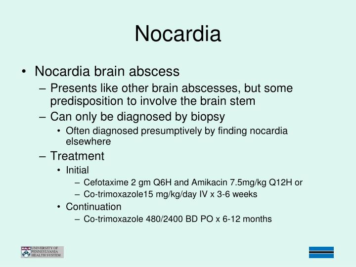 PPT - HIV Infection and the CNS PowerPoint Presentation - ID:228728