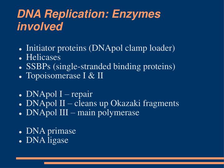 PPT - Central Dogma of Molecular Biology PowerPoint Presentation - ID ...