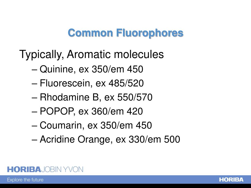 PPT - HORIBA Jobin Yvon Fluorescence Division Presents: Time-Resolved ...