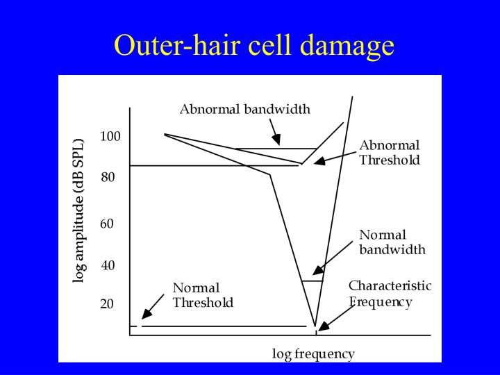 PPT - Hearing and Deafness 1. Anatomy & physiology PowerPoint ...