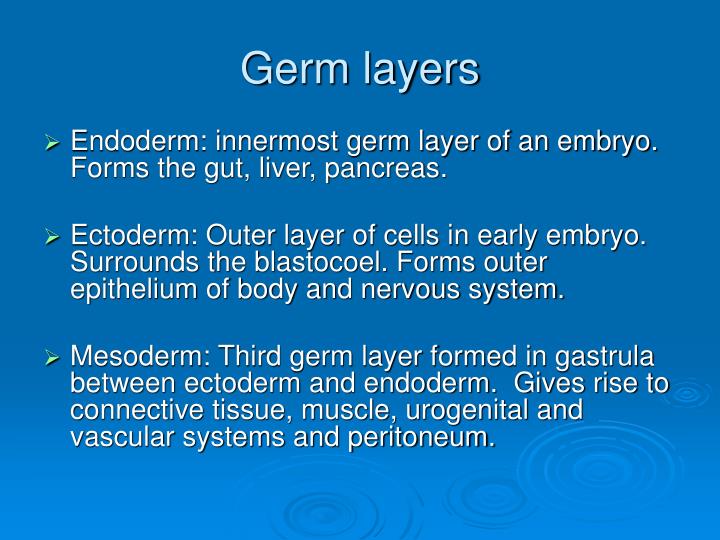 PPT - Animal Architecture PowerPoint Presentation - ID:229461