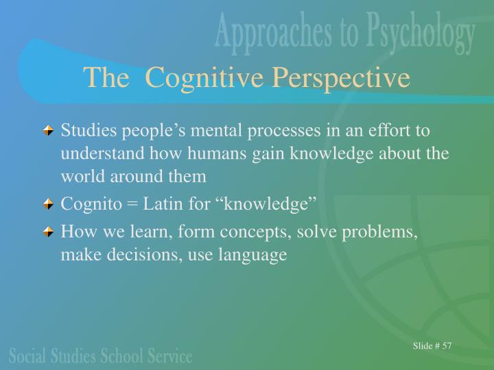 PPT - Approaches to Psychology PowerPoint Presentation - ID:229538