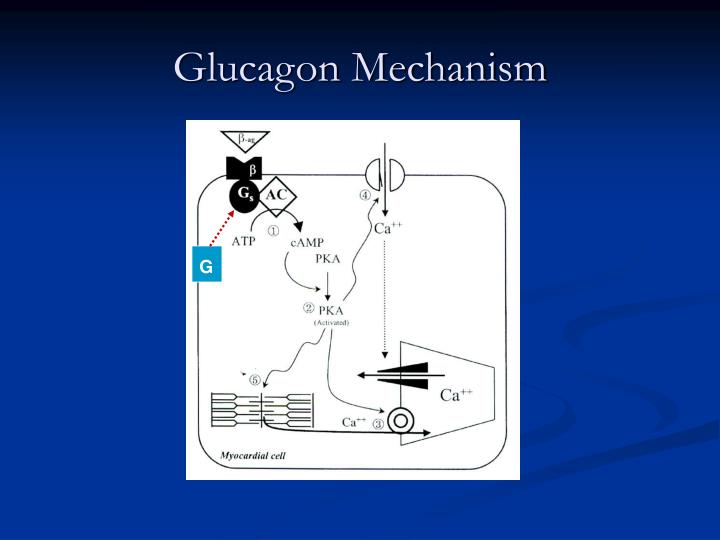PPT - CASES IN MEDICAL TOXICOLOGY PowerPoint Presentation - ID:229699