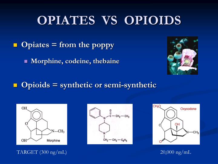 PPT - CASES IN MEDICAL TOXICOLOGY PowerPoint Presentation - ID:229699
