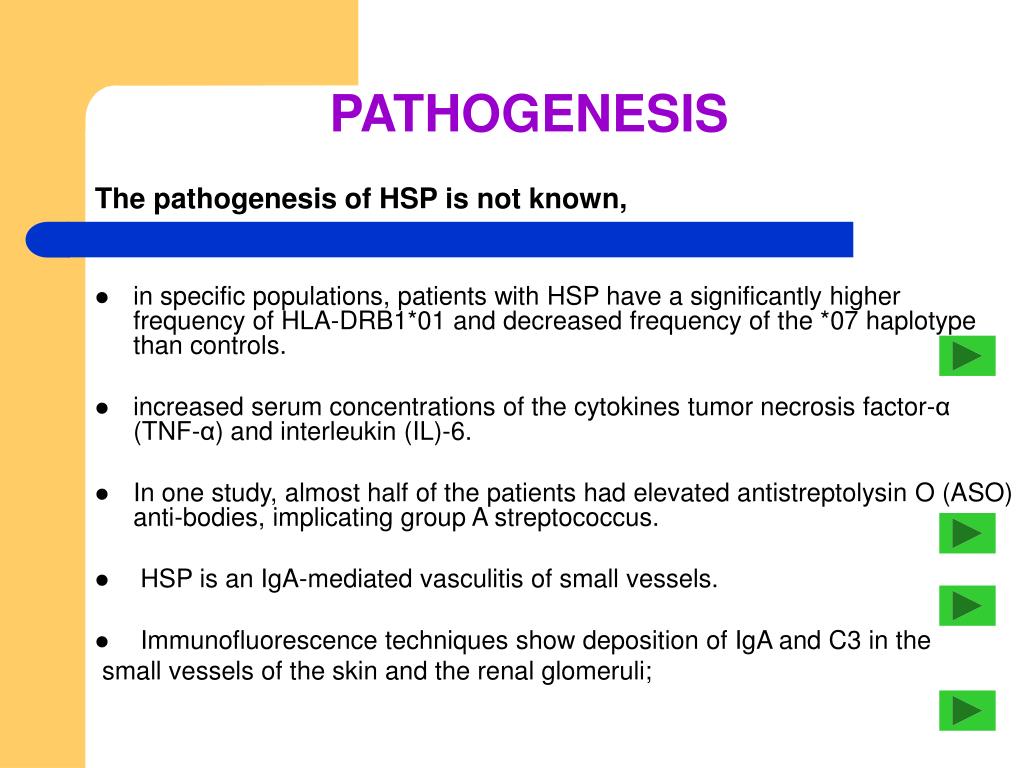 PPT - Henoch-Schönlein PowerPoint Presentation, free download - ID:231039