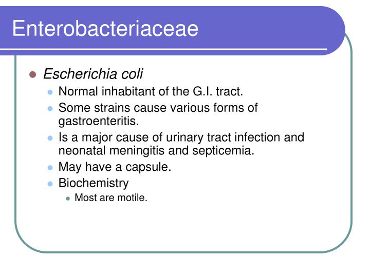PPT - Enterobacteriaceae PowerPoint Presentation - ID:231956