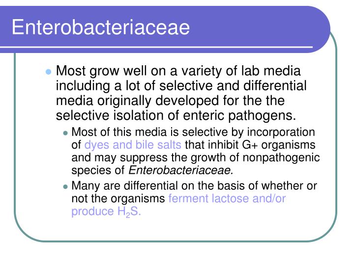 PPT - Enterobacteriaceae PowerPoint Presentation - ID:231956