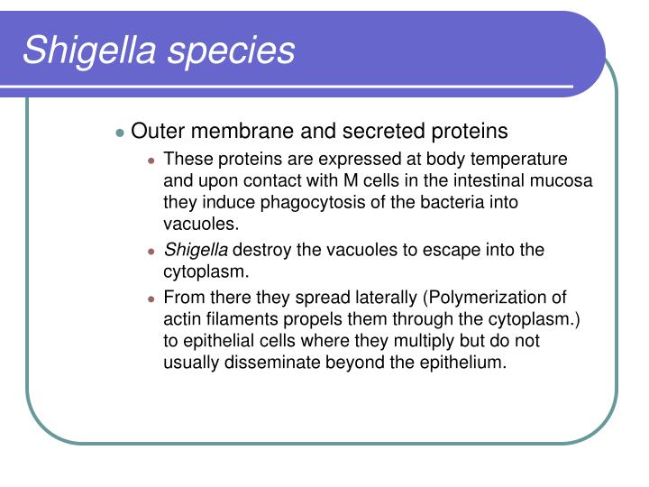PPT - Enterobacteriaceae PowerPoint Presentation - ID:231956