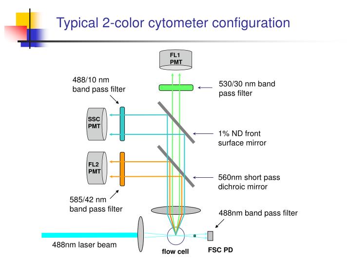 PPT - Basics of Flow Cytometry PowerPoint Presentation - ID:232645