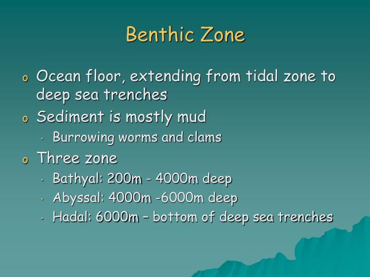 PPT - Chapter 6 Major Ecosystems of the World PowerPoint Presentation ...