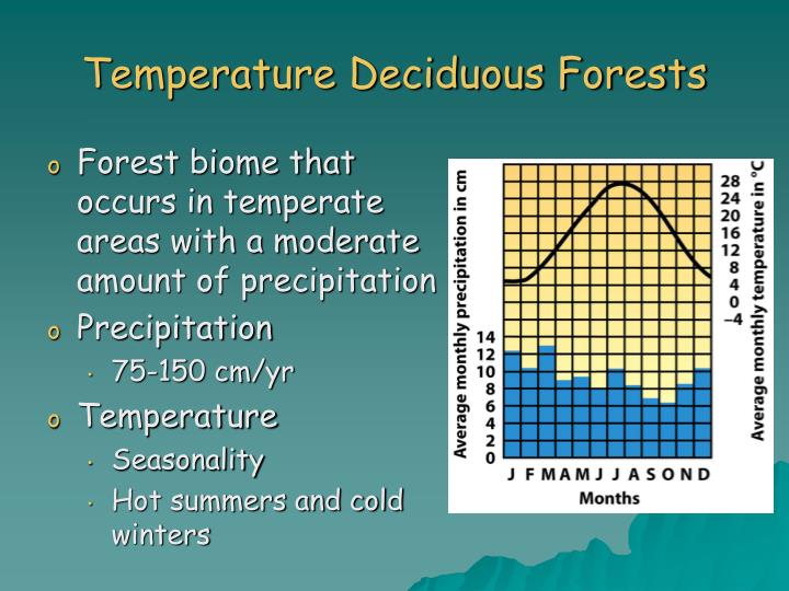 PPT - Chapter 6 Major Ecosystems of the World PowerPoint Presentation ...