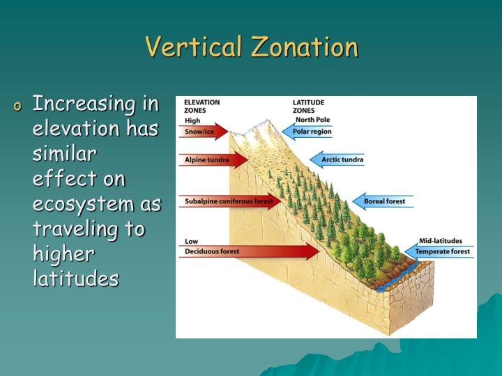 PPT - Chapter 6 Major Ecosystems of the World PowerPoint Presentation ...