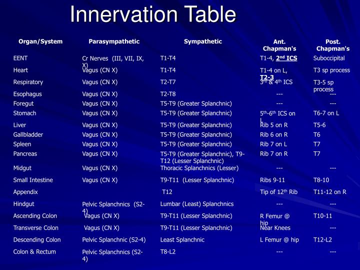 PPT - Pediatric Chapman Reflexes PowerPoint Presentation - ID:232940