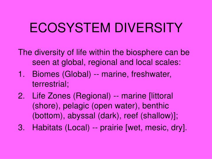 PPT - SPECIES RICHNESS PowerPoint Presentation - ID:234761