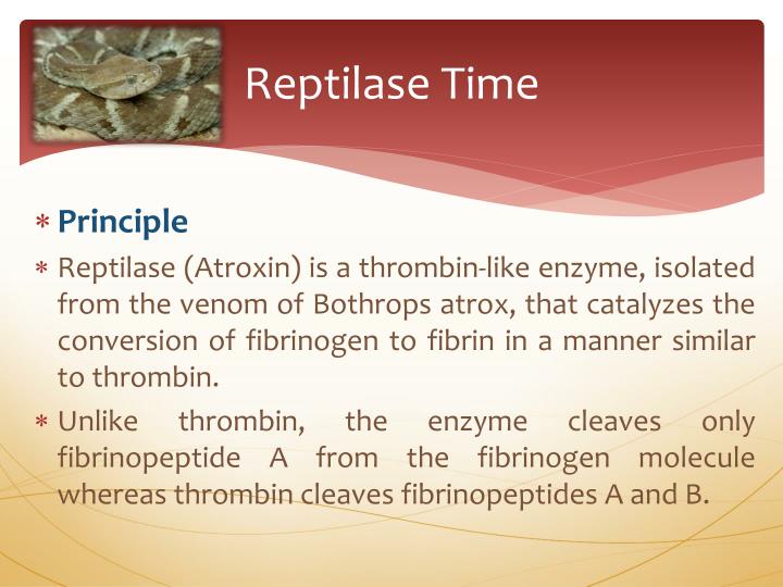 PPT - Tests to Measure Fibrin formation PowerPoint Presentation - ID:235543