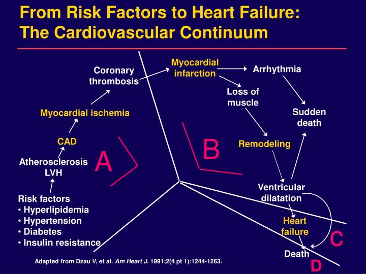 PPT - Clinical Management of Hypertensive Heart Disease: Preventing ...