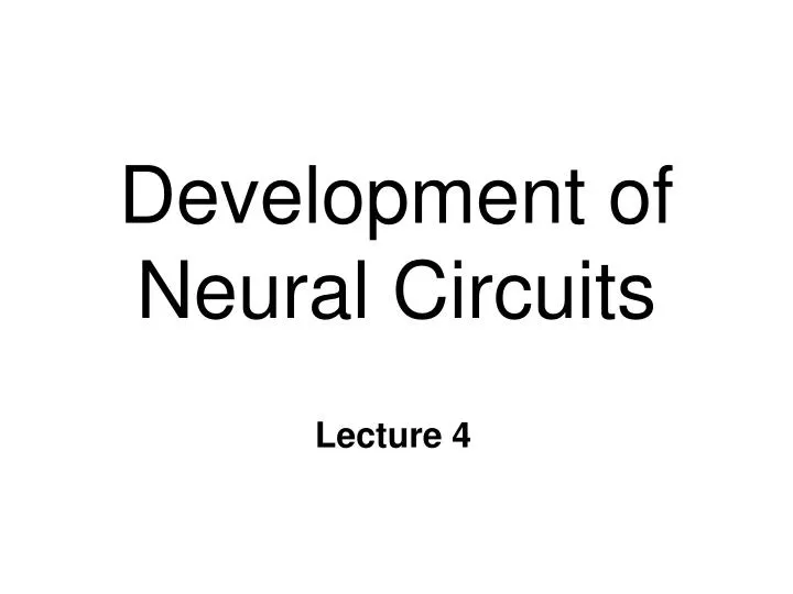 PPT - Development of Neural Circuits PowerPoint Presentation, free ...