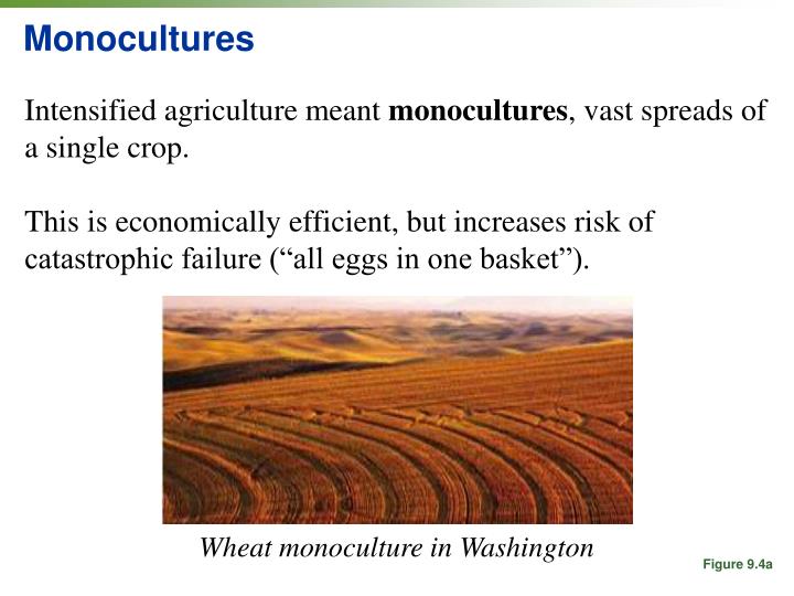 PPT - Soils, agriculture, and the future of food PowerPoint ...