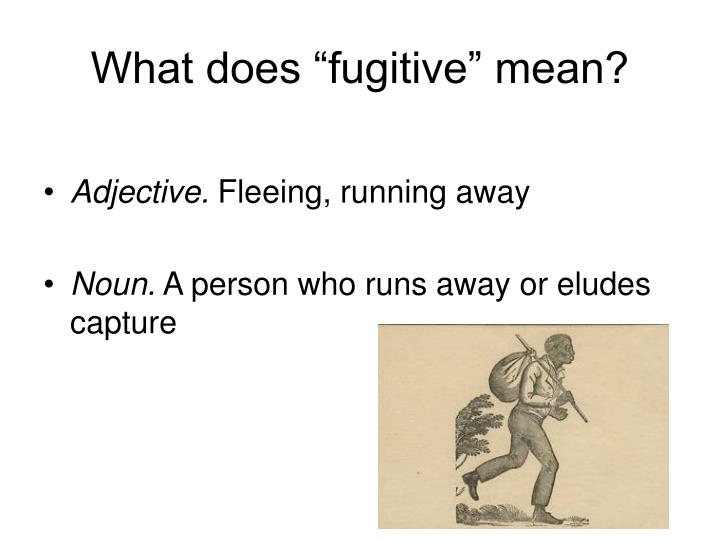 PPT - Perspectives on the Fugitive Slave Law PowerPoint Presentation ...
