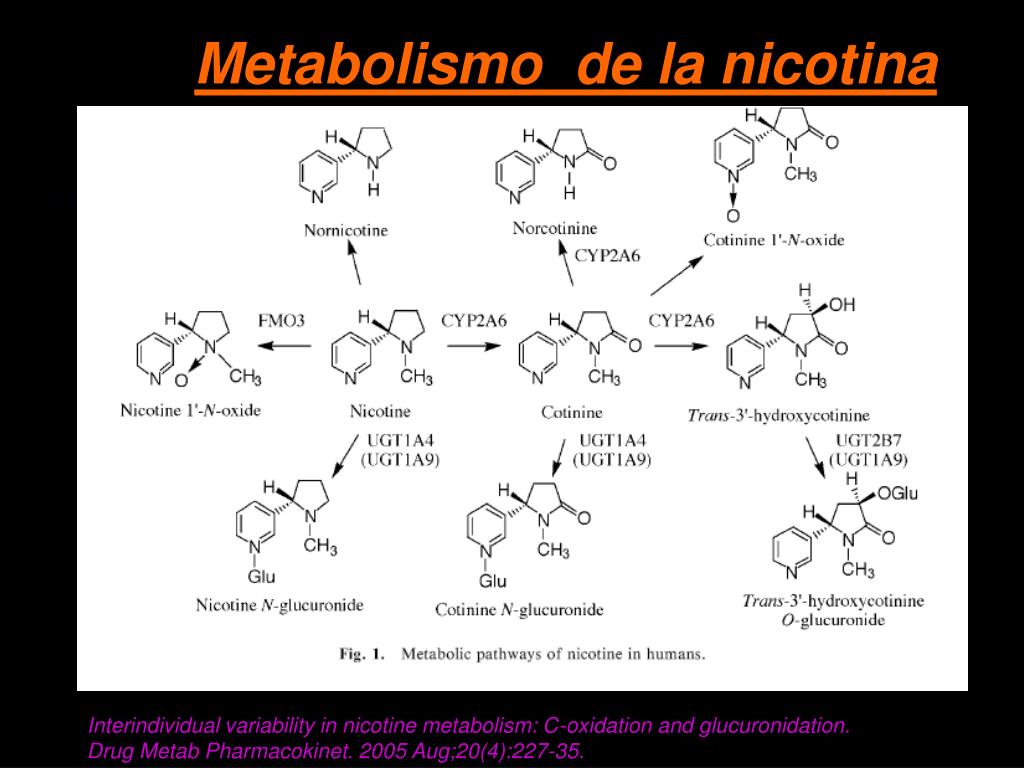 PPT - Nicotina PowerPoint Presentation - ID:238534 PPT - Nicotina PowerPoint Presentation - ID:238534